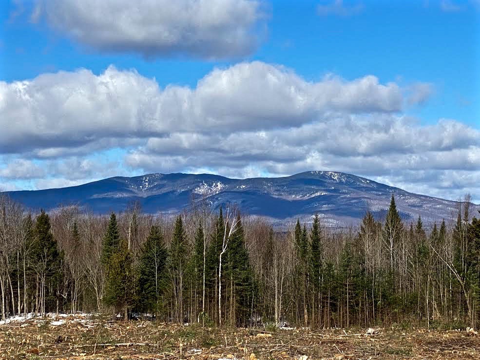 Adirondack Acreage Listings | Adirondack Land for Sale