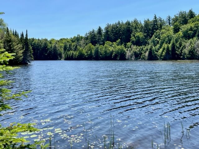 Adirondack Land for Sale | ADK Acreage Listings