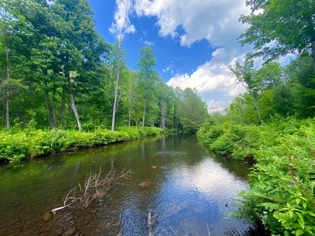 Adirondack Land for Sale | ADK Acreage Listings